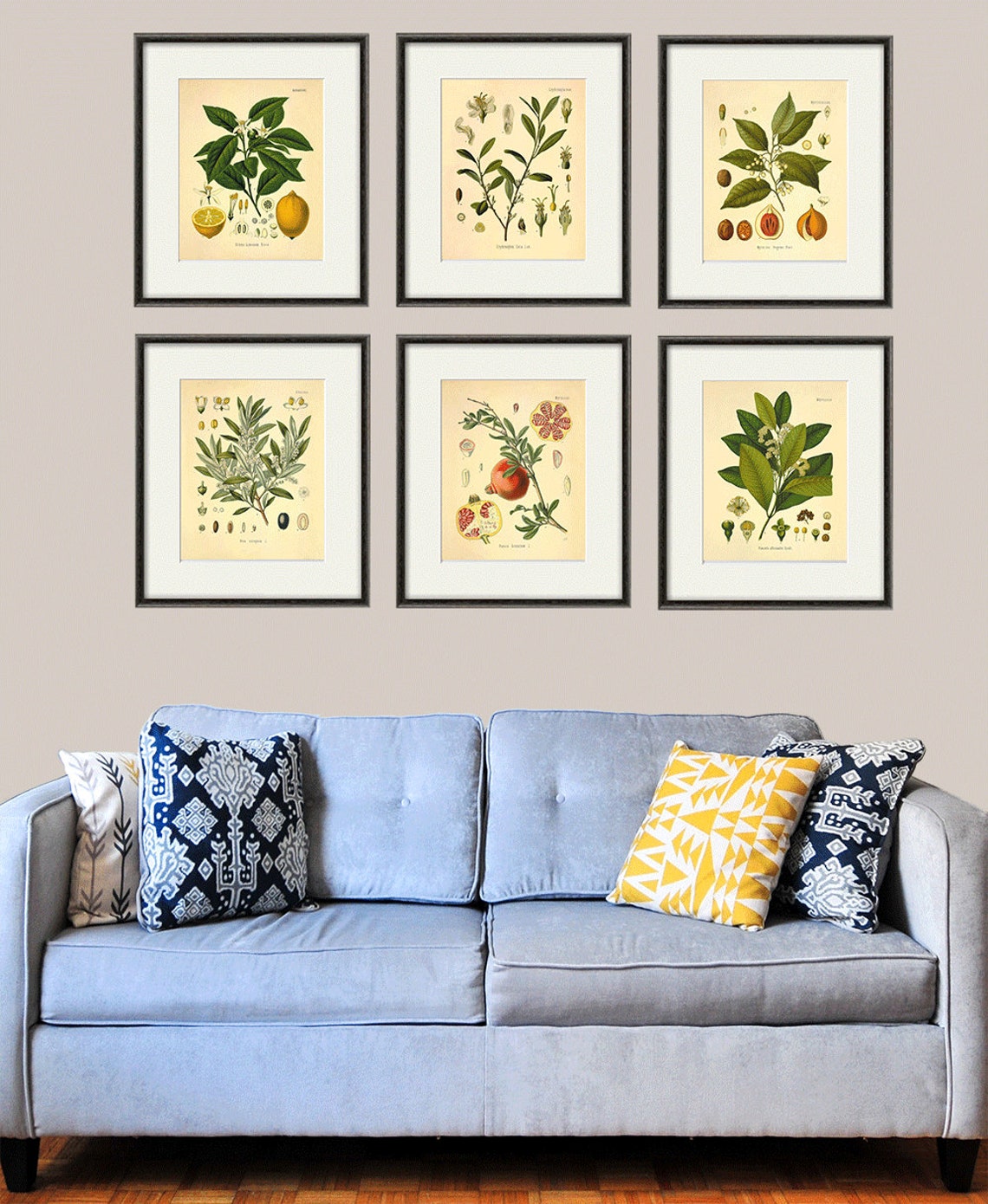 Antique Dandelion Art Print Vintage Antique Botanical Art - Etsy