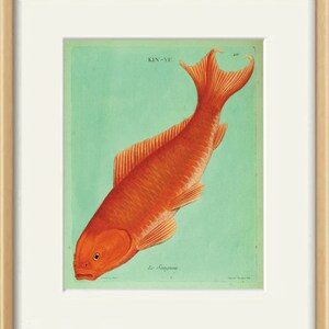 Antique Fish Art Print Koi Art Nautical Art Print Ocean Decor Sea Art ...