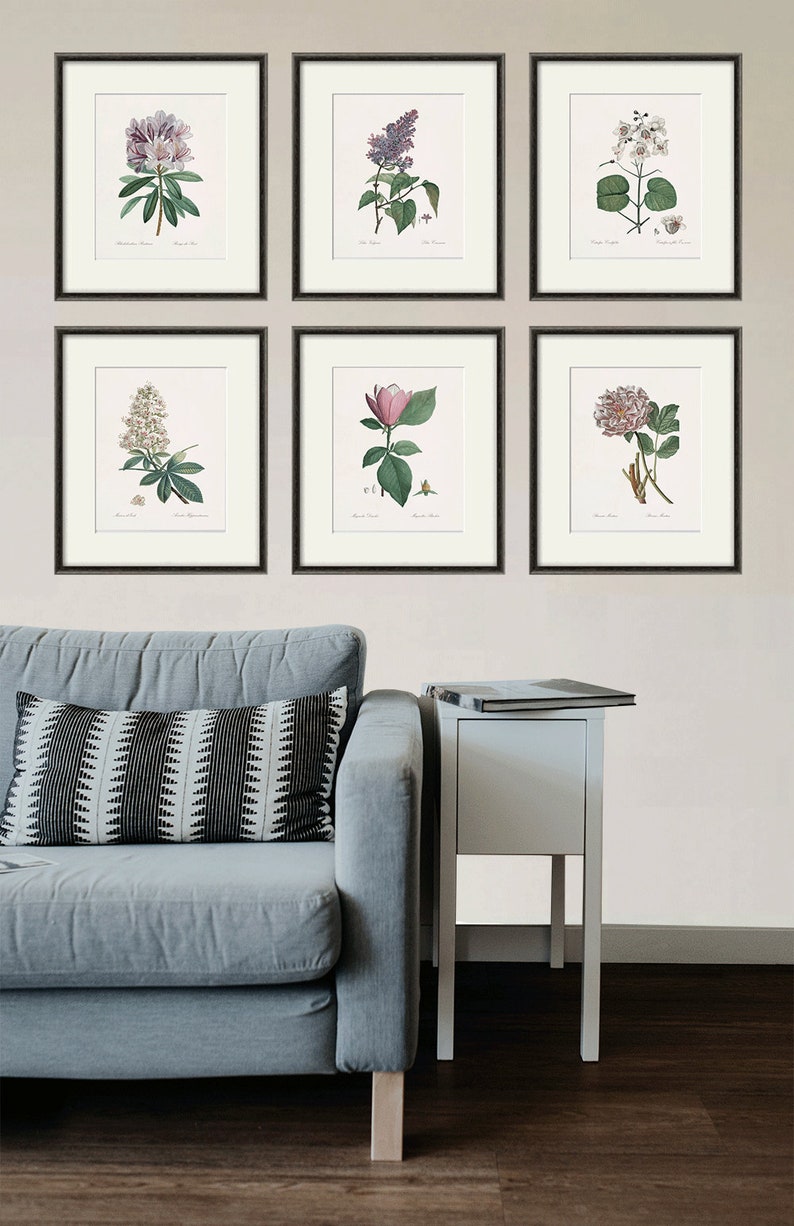 Antique Flower Art Print Set Antique Prints Pink Botanical - Etsy