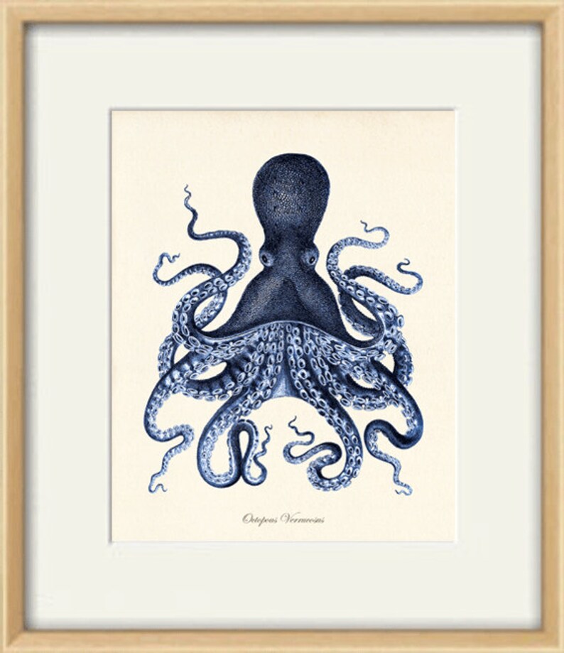 Octopus Art Print Antique Prints Old Prints Nautical Art Print Ocean ...