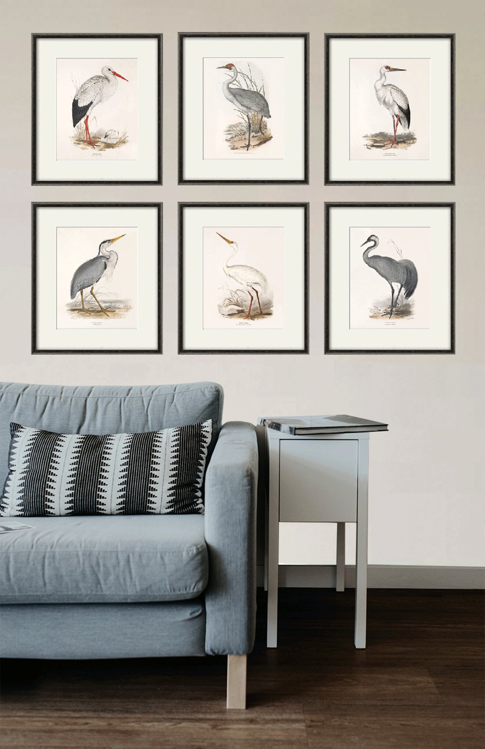 Bird Wall Art Print Bird Art Print Nature Print Art Print - Etsy