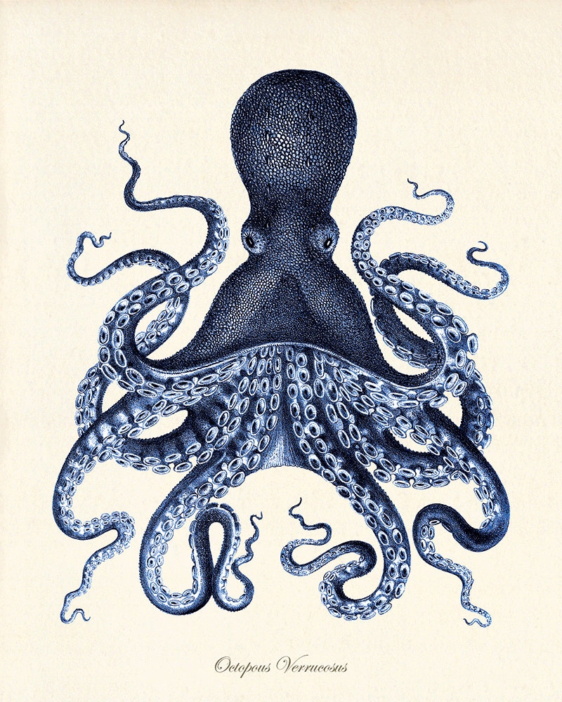 Old Scientific American Page Octopus Poster Vintage Nautical Collage ...