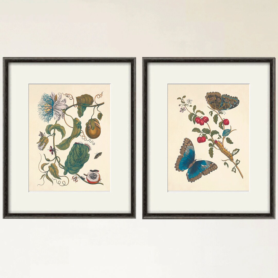 Antique Botanical Art Print Butterfly Art Print Botanical Prints ...