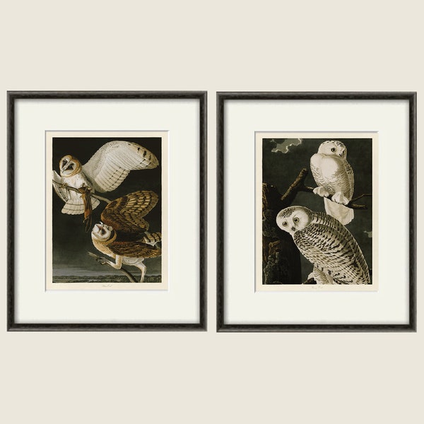 Victorian Owl - Etsy