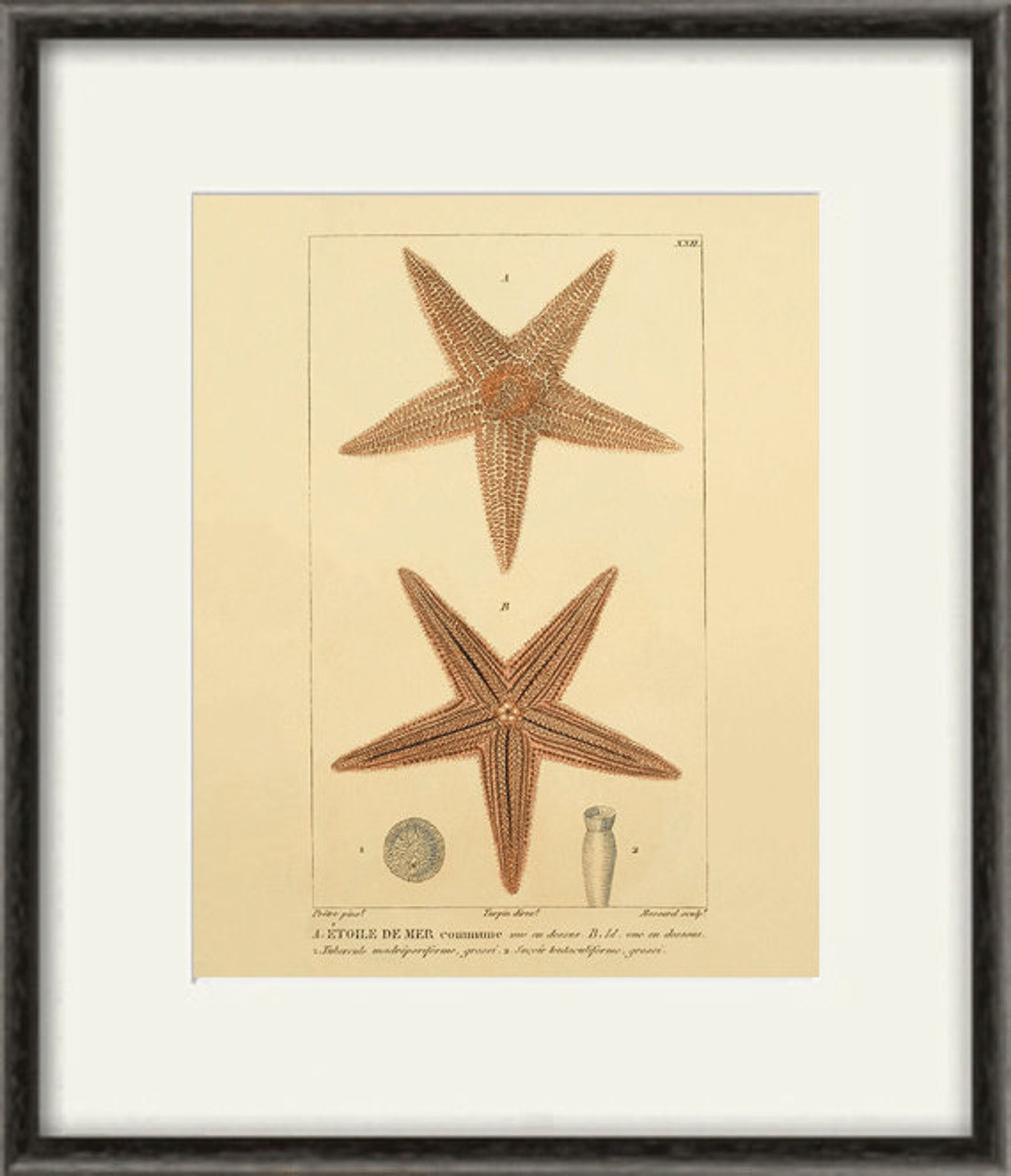 Sea Art Print Nautical Print Set Sea Art Print Vintage Ocean - Etsy