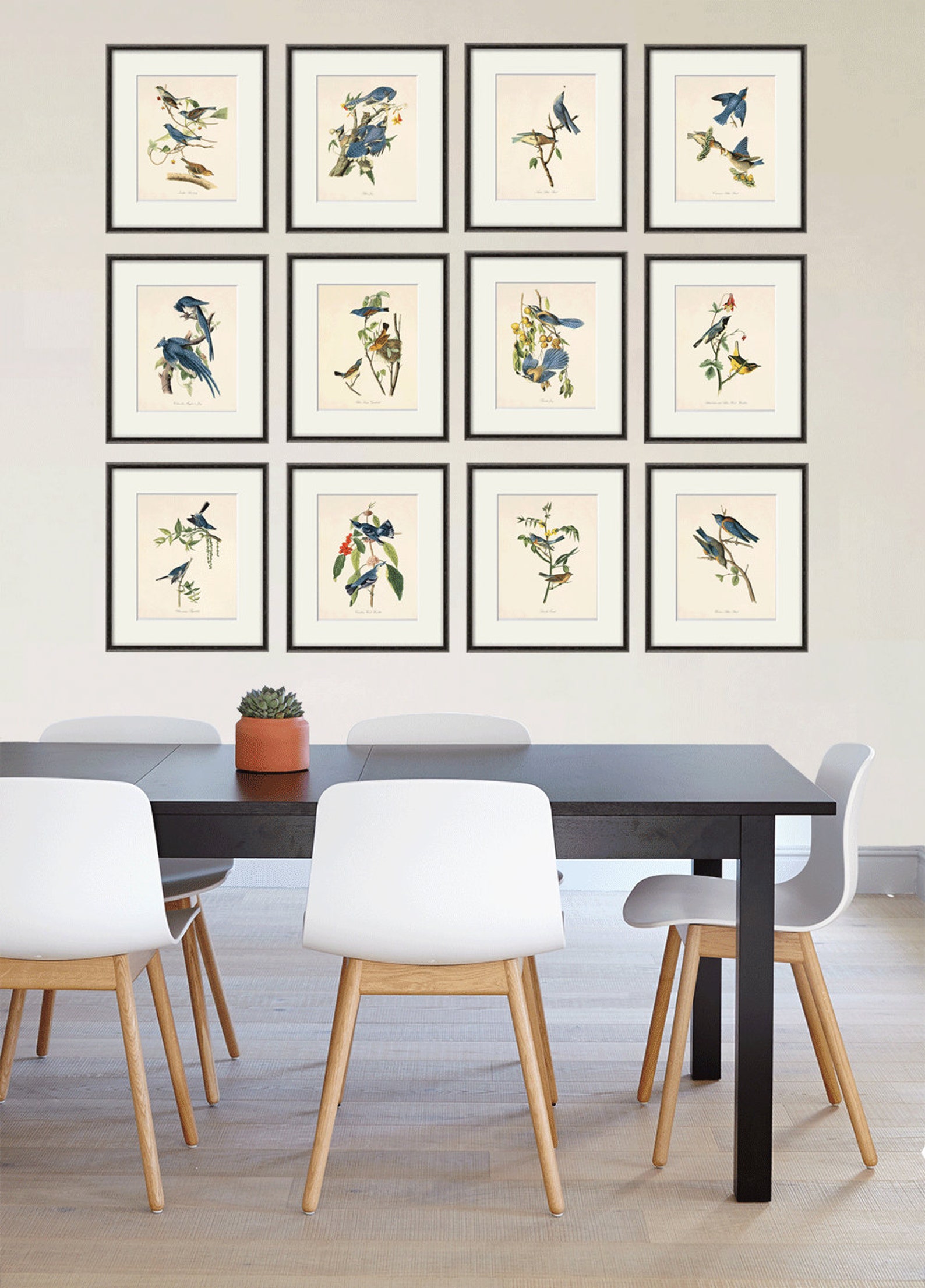 Antique Bird Print Set Bird Art Print Set Antique Prints Bird | Etsy