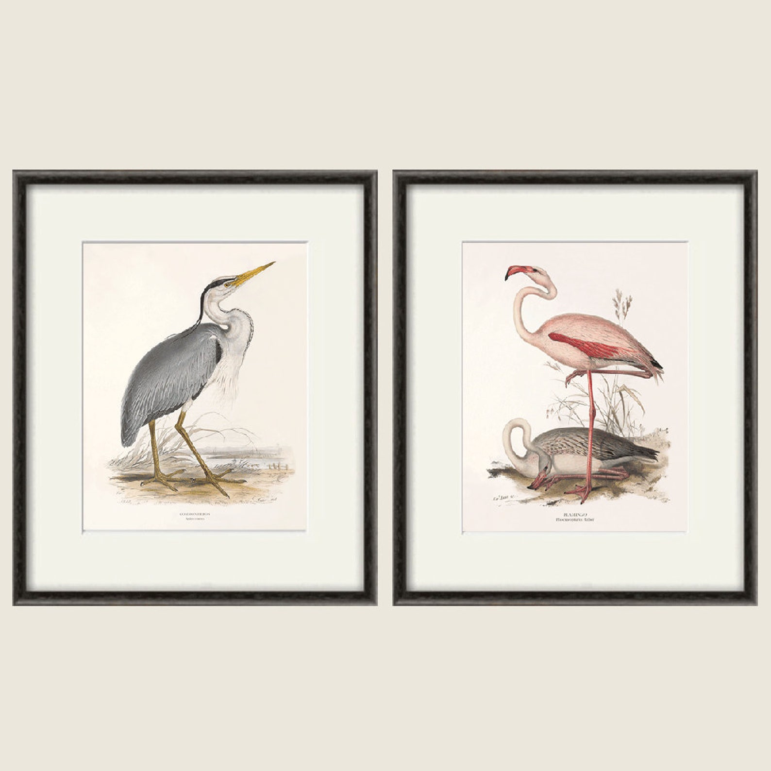 Bird Wall Art Print Bird Art Print Nature Print Art Print - Etsy