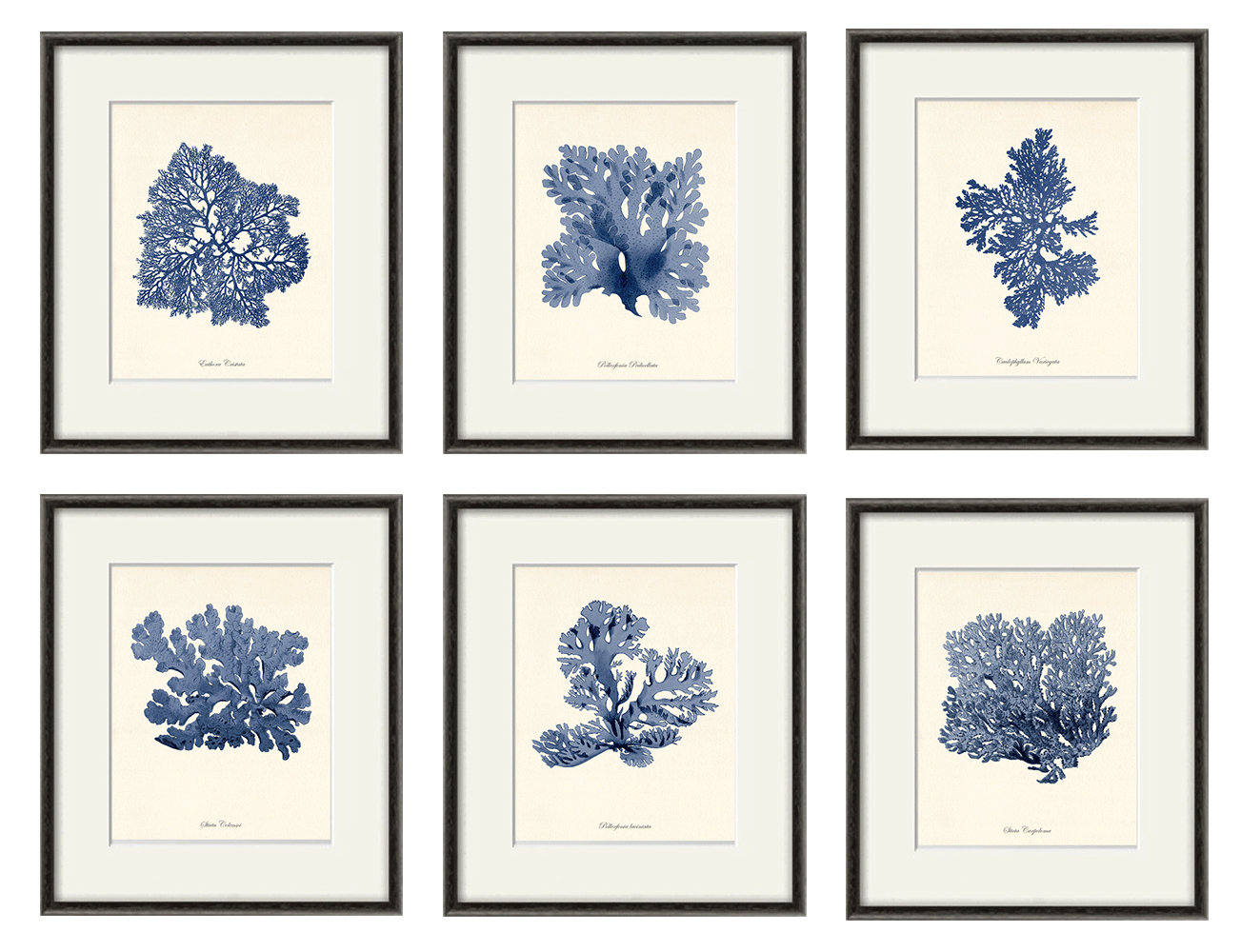 Navy Blue Nautical Art Print Set of 6 Antique Wall Art | Etsy