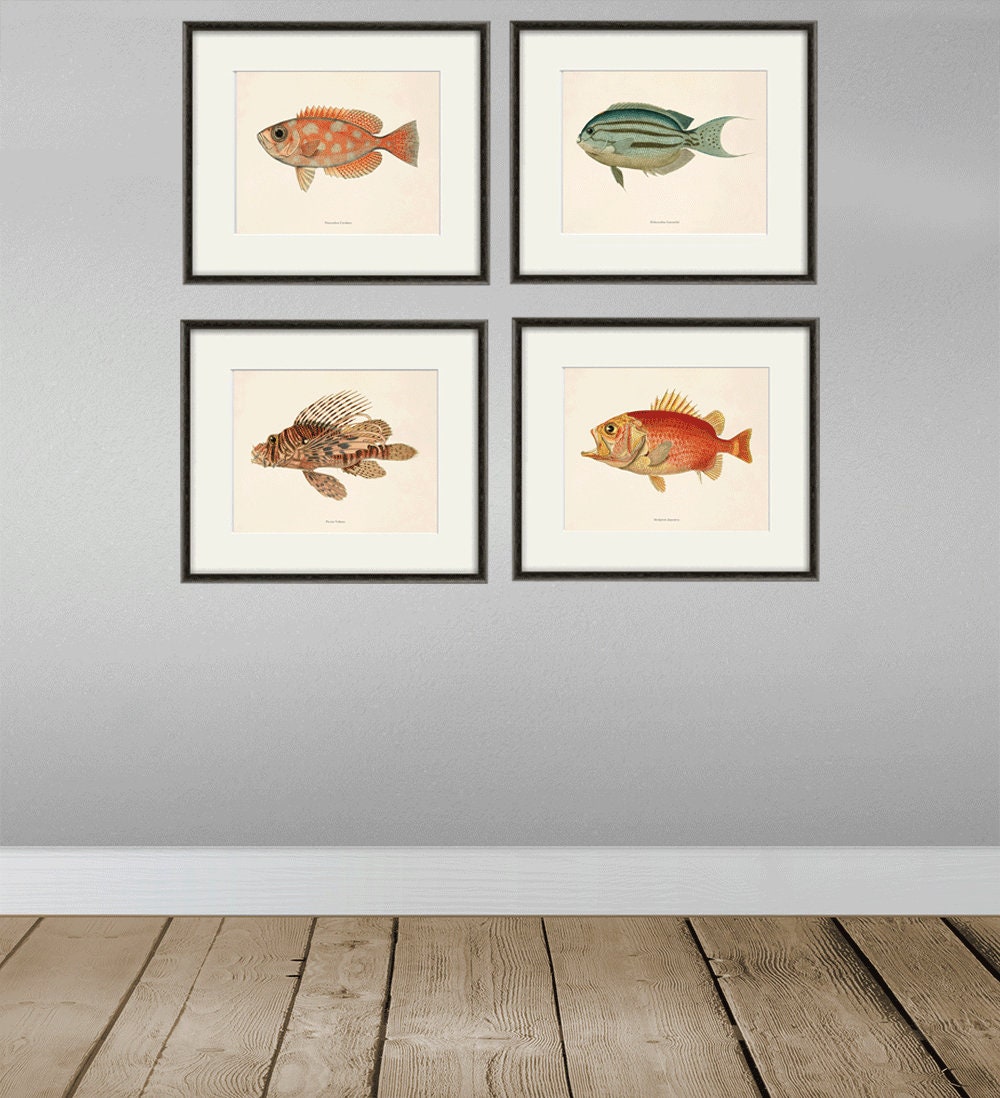 Antique Fish Art Coastal Art Print Nautical Print Ocean Decor | Etsy