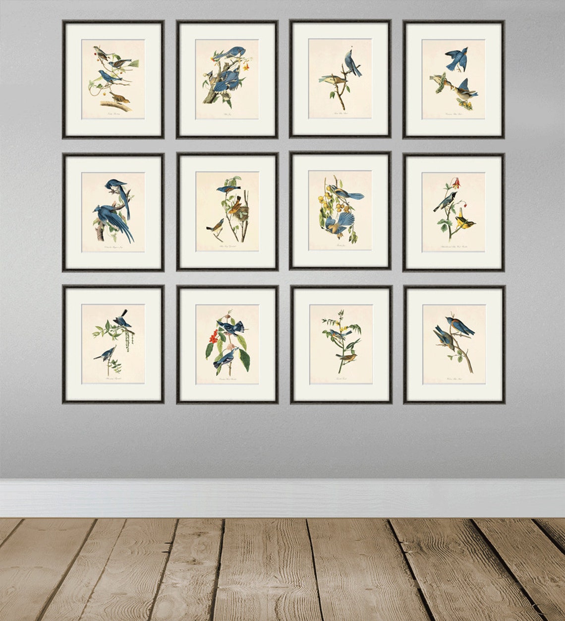 Antique Bird Print Set Bird Art Print Set Antique Prints Bird | Etsy