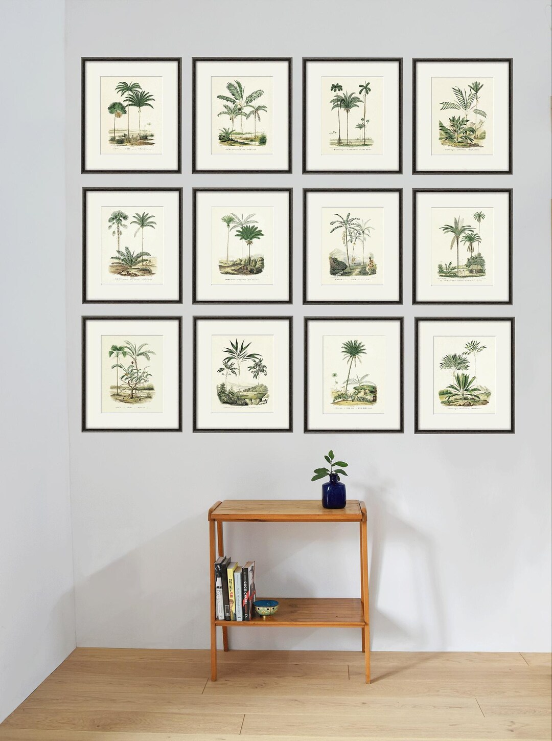 Antique Palm Tree Print: Victorian Botanical Art, Tropical Decor - Etsy