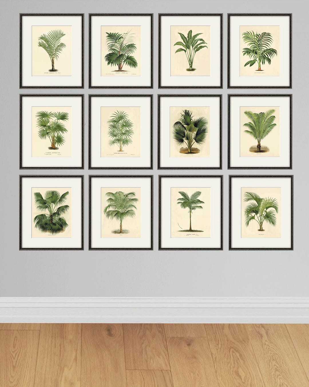 Antique Palm Tree Print: Victorian Botanical Wall Art - Etsy