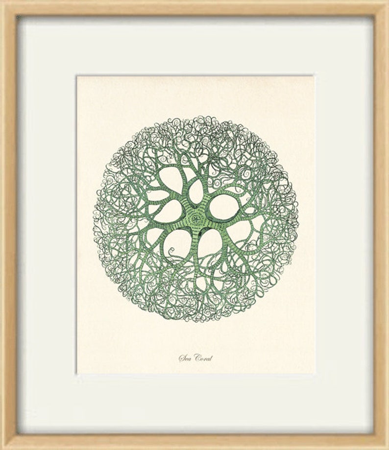 Green Coral Art Print Vintage Nautical Art Print Sea Art Print | Etsy