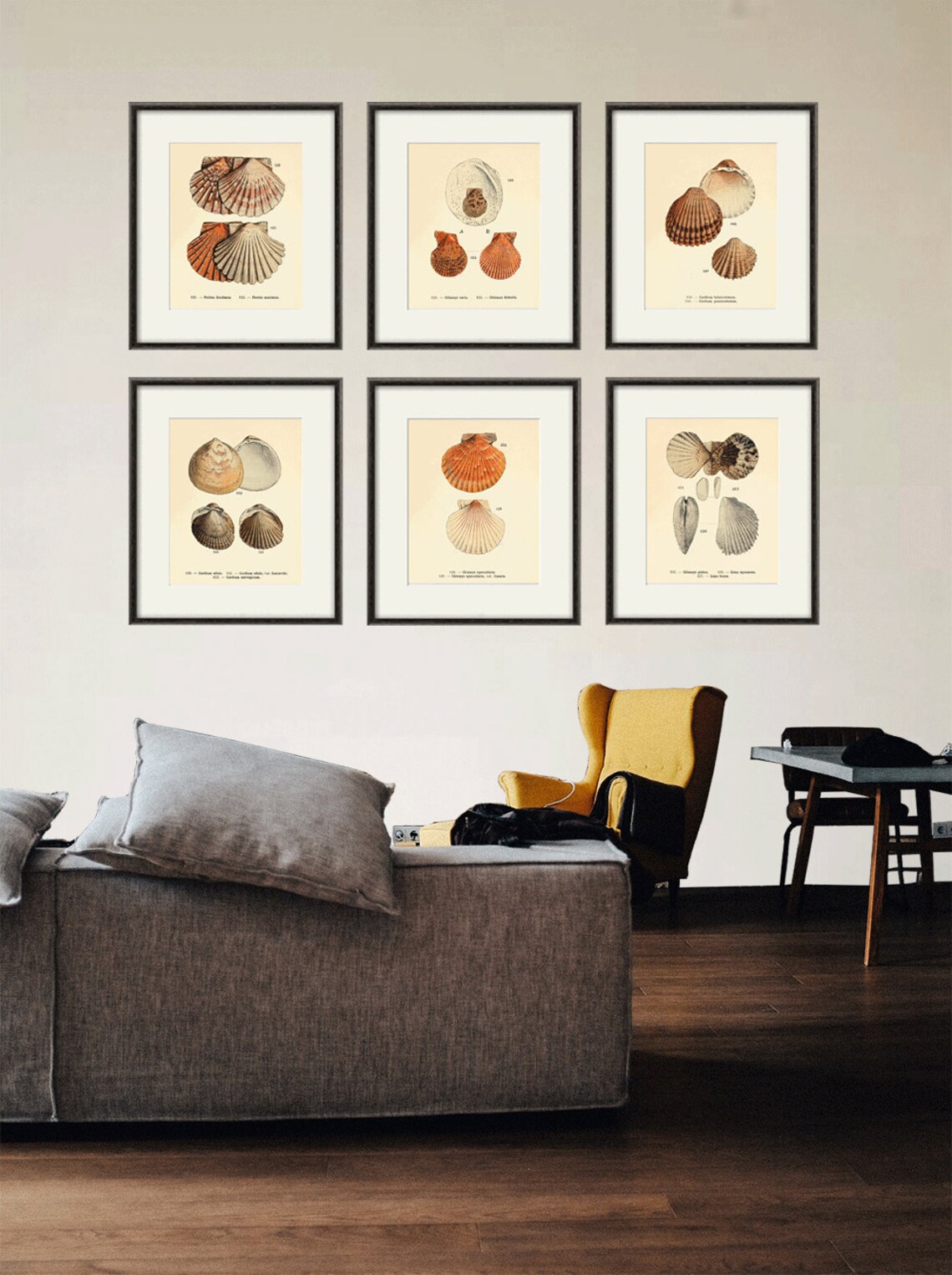 Seashell Art Print Poster Ocean Decor Beach Art Print Natural | Etsy