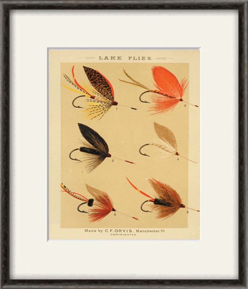 Lake Flies Fishing Print Fly Fishing Art Fishing Decor Art Old - Etsy