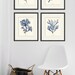 Navy Blue Nautical Art Print Set of 4 Antique Wall Art - Etsy Canada