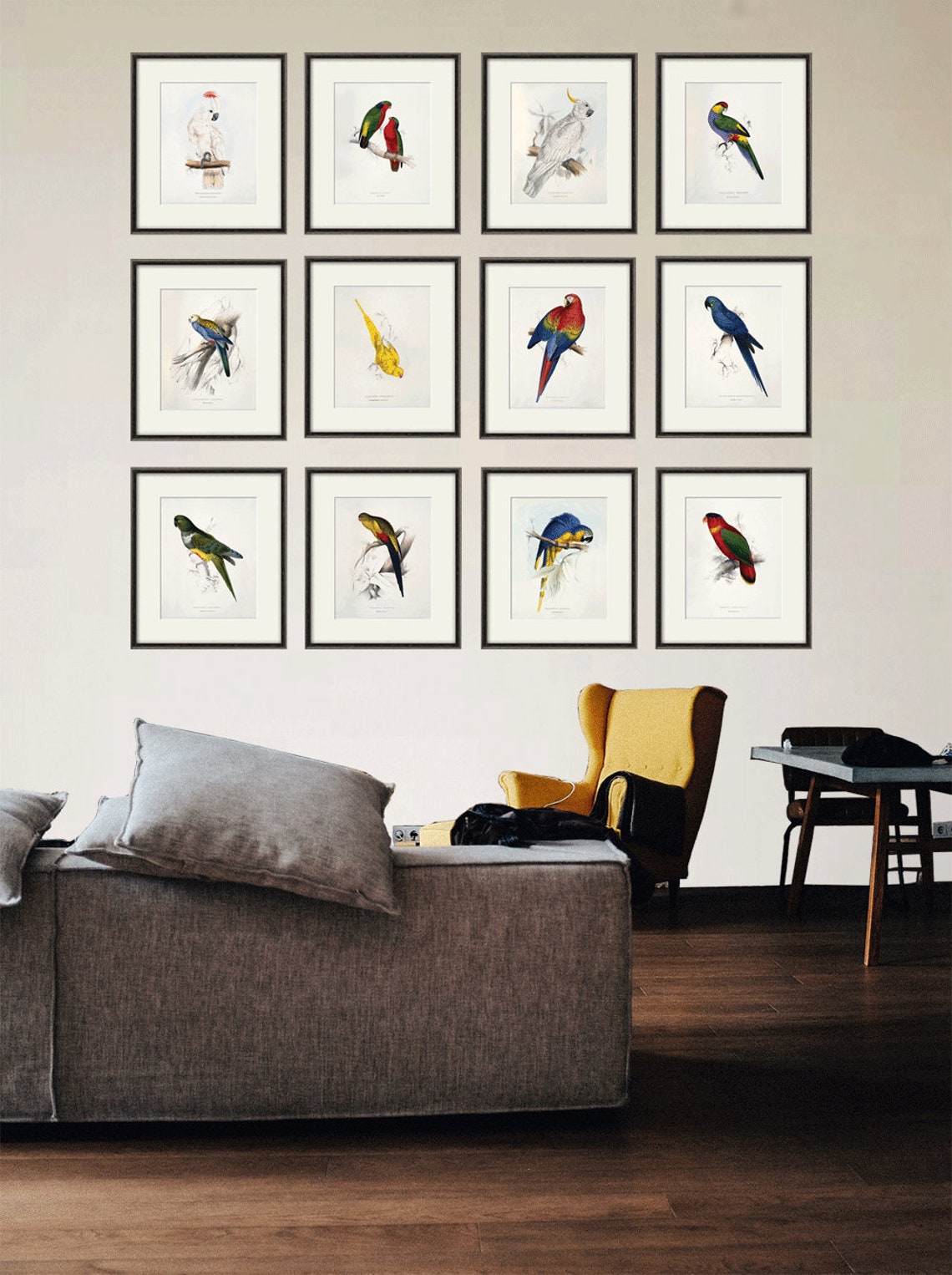 Parrot Art Print Antique Bird Print Nature Wall Art Victorian | Etsy