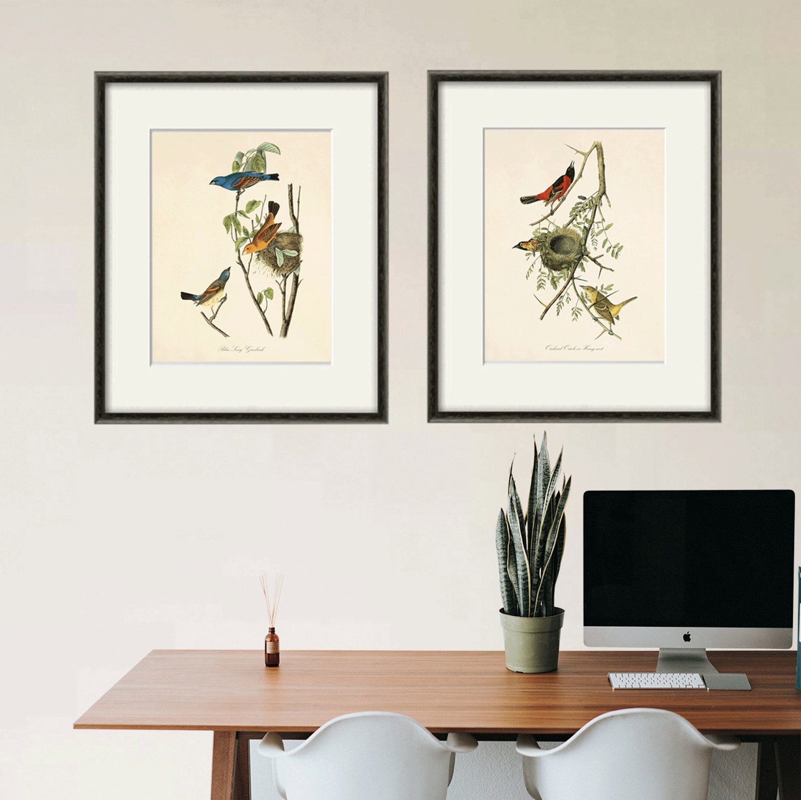 Antique Bird Print Set Bird Art Print Set Antique Prints Bird - Etsy