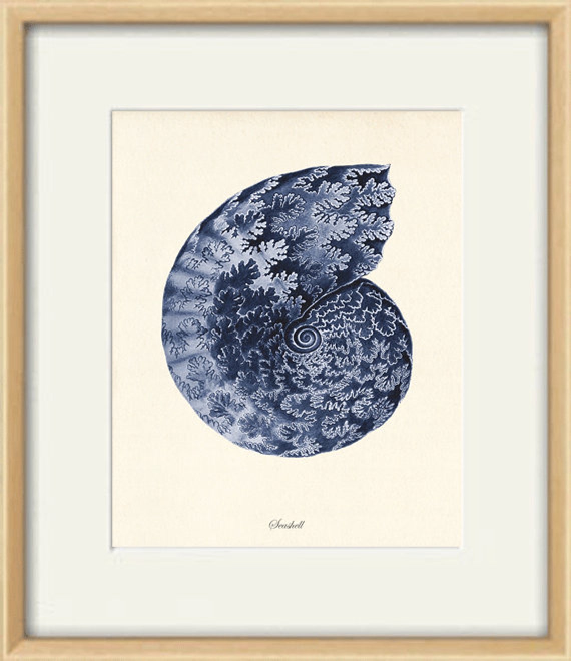 Antique Sea Shell Art Print Vintage Nautical Art Print Sea Art - Etsy