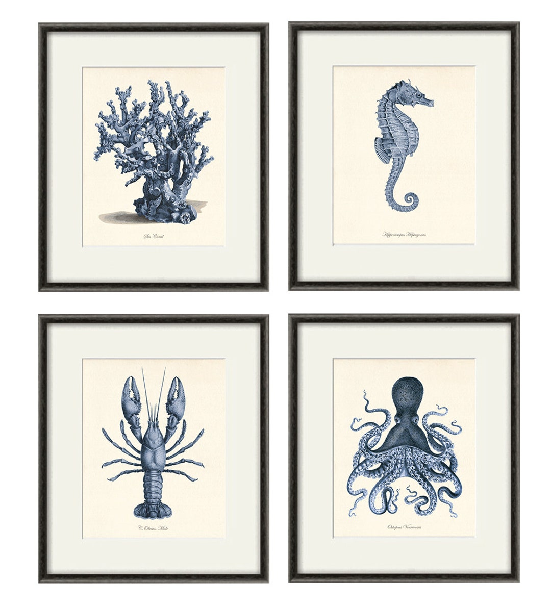 Nautical Art Print Navy Blue Art Sea Coral Art Print Set Of 4 Antique Wall Art Beach Ocean Art