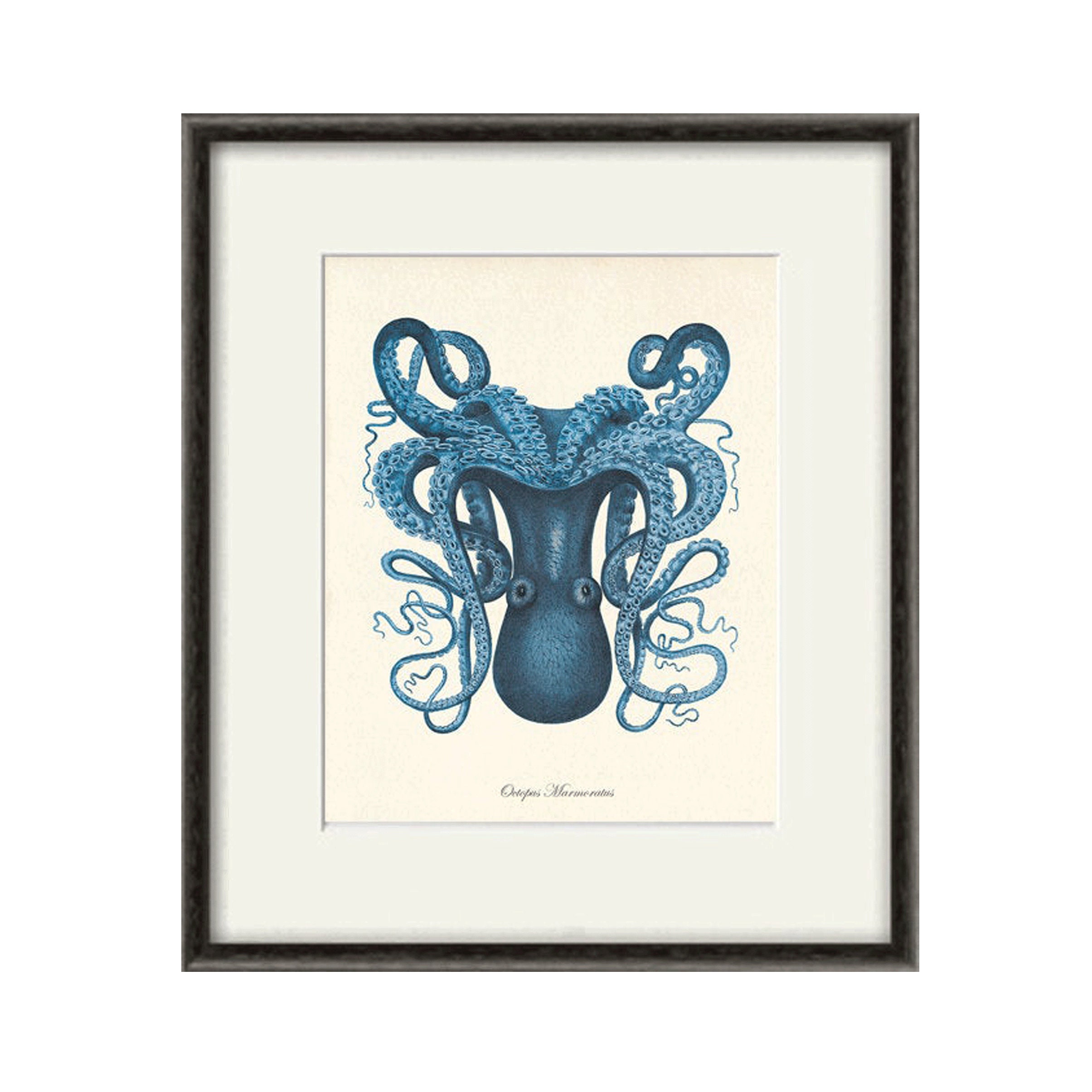 Octopus art antique prints Victorian art print poster Ocean | Etsy