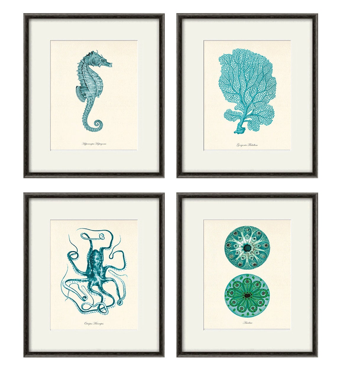 Blue Sea Coral Art Nautical Print Set Sea Art Print Vintage - Etsy