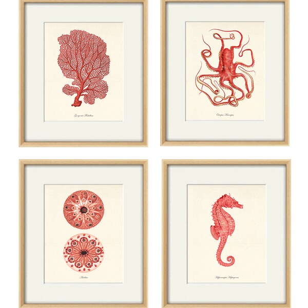 Red Coral Print - Etsy