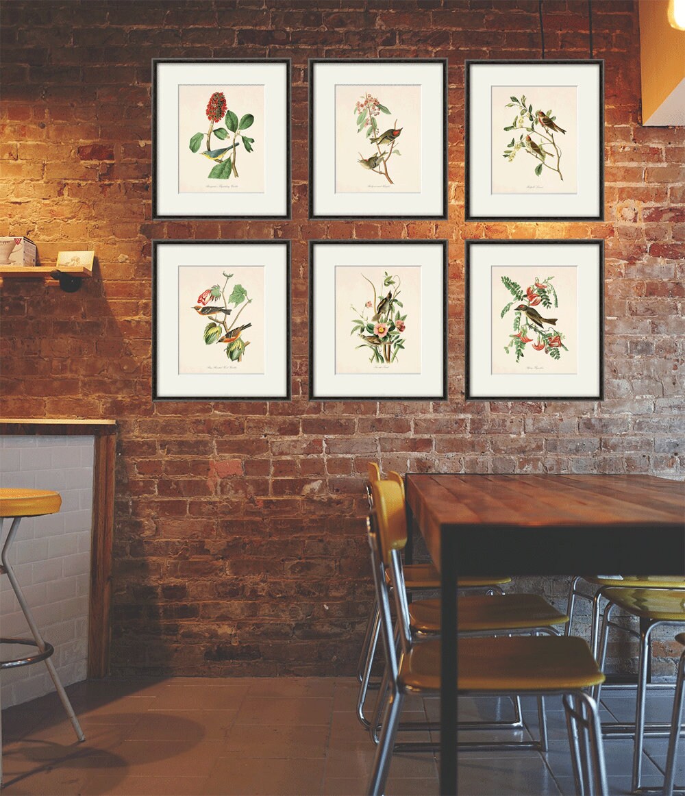 Antique Bird Print set Bird art print set antique prints bird | Etsy