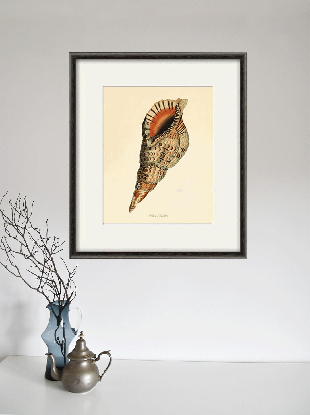 Antique Sea Shell Art Print Vintage Nautical Art Print Sea Art Print ...