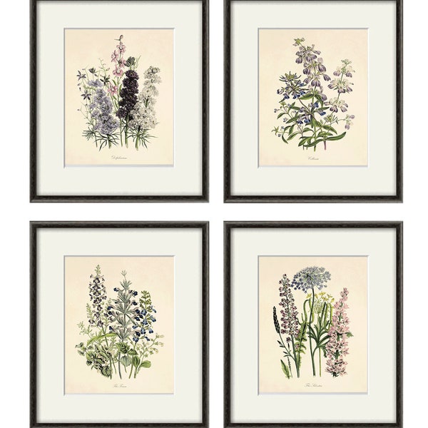 Botanical Print Set - Etsy