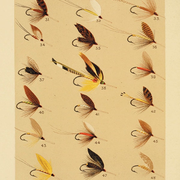 Antique Fishing Flies - Etsy