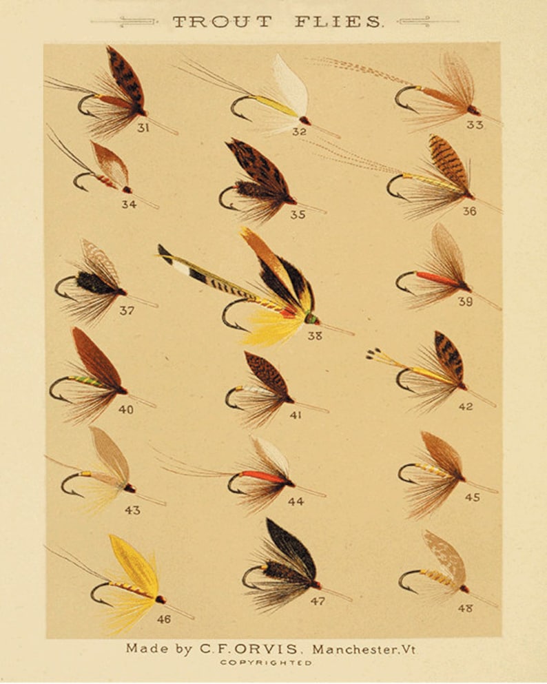 Trout flies fishing print fly fishing art fishing decor art | Etsy