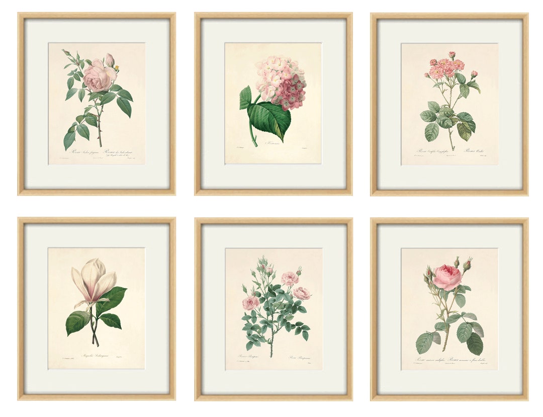 Antique Flower Art Print Set Antique Prints Pink Botanical Prints ...