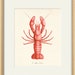 Red Lobster Art Print Victorian Art Old Prints Nautical Art - Etsy