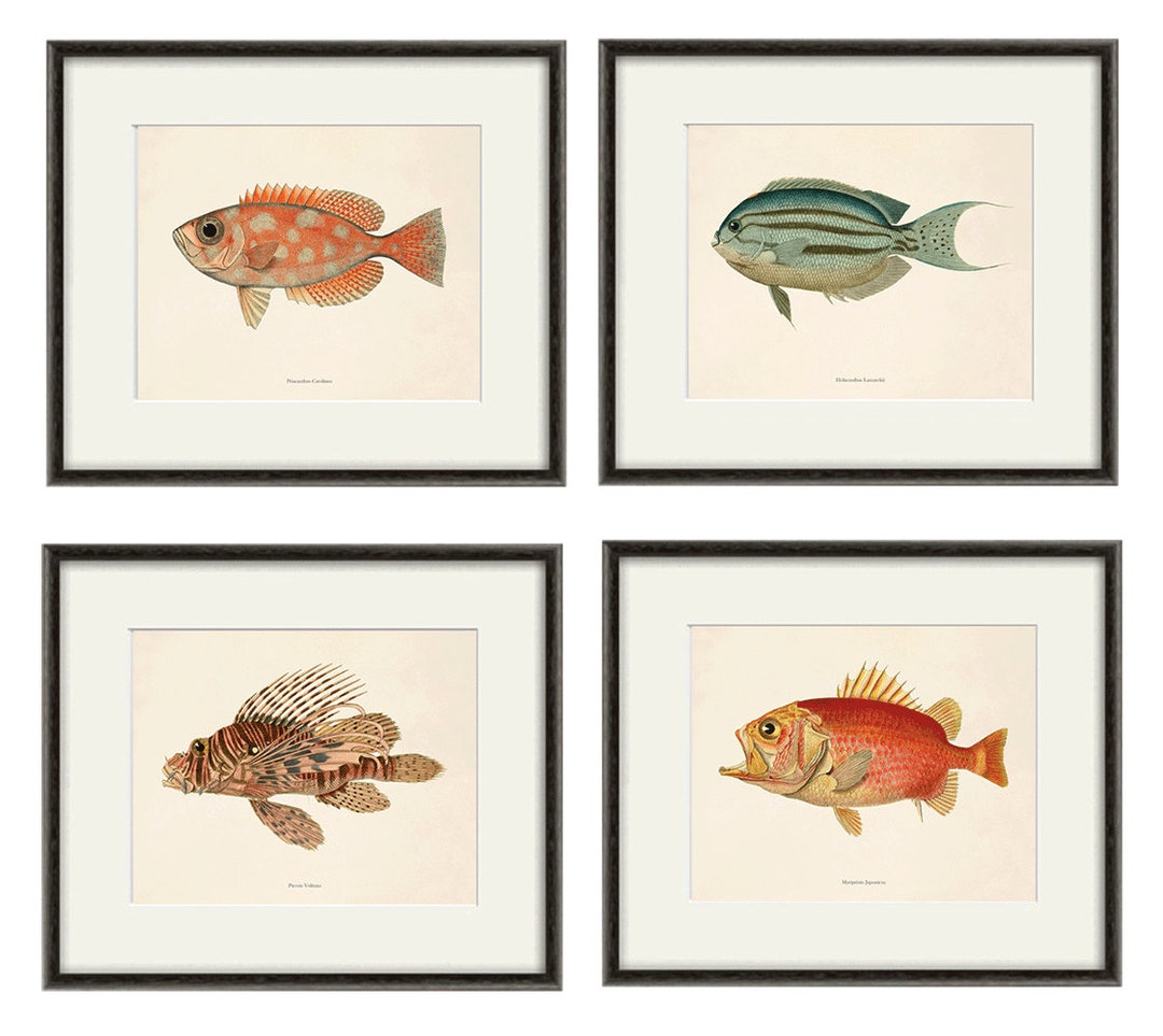Antique Fish Art Coastal Art Print Nautical Print Ocean Decor Beach ...