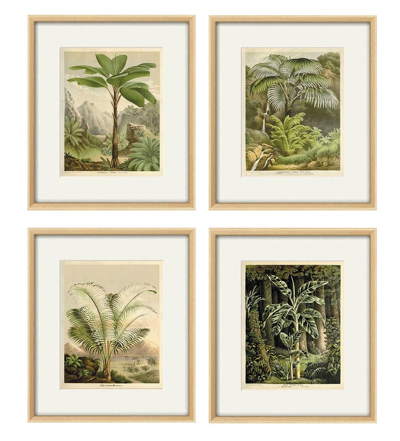 Palm Tree Art Print Antique Botanical Art Prints Home Decor Etsy
