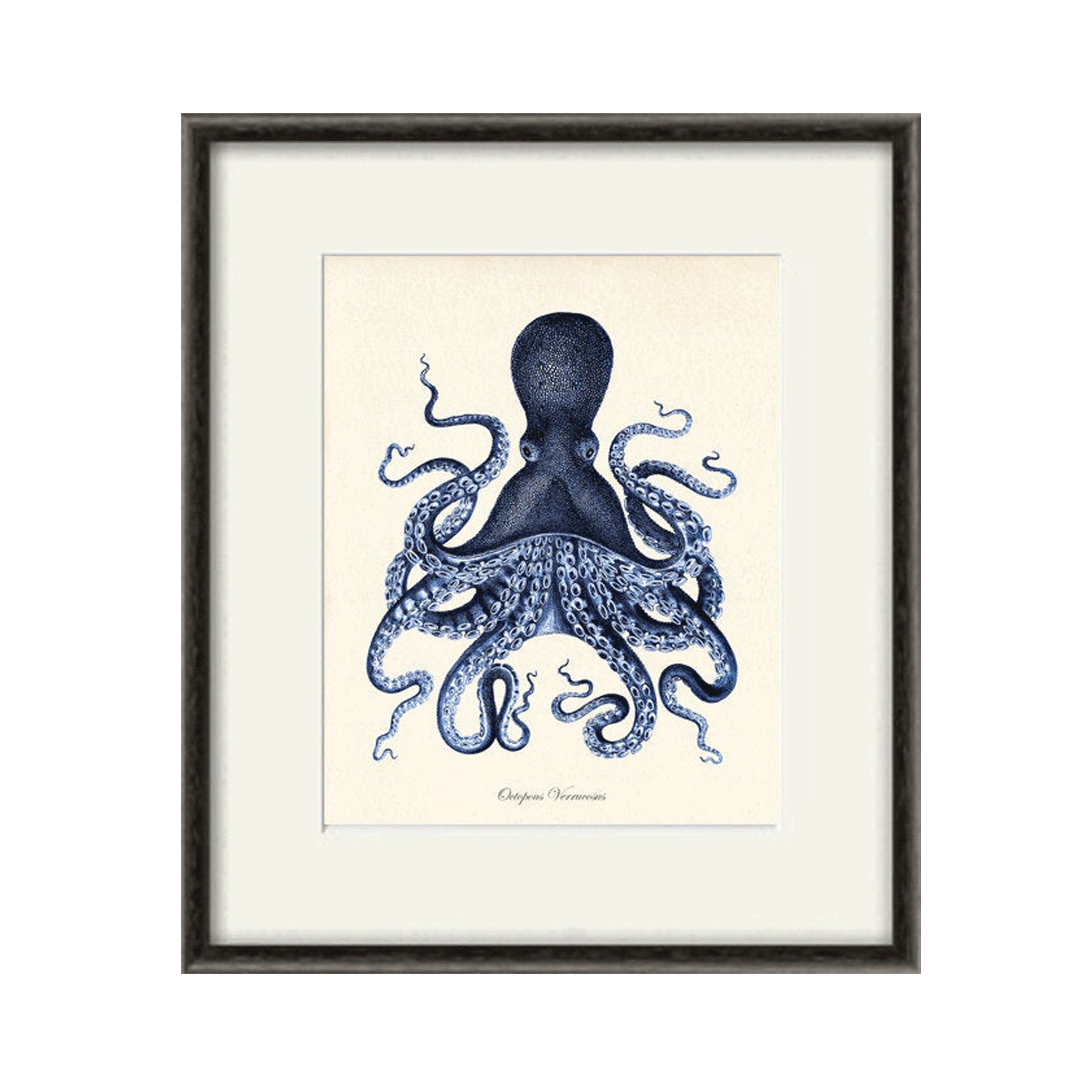 Old Scientific American Page Octopus Poster Vintage Nautical Collage ...