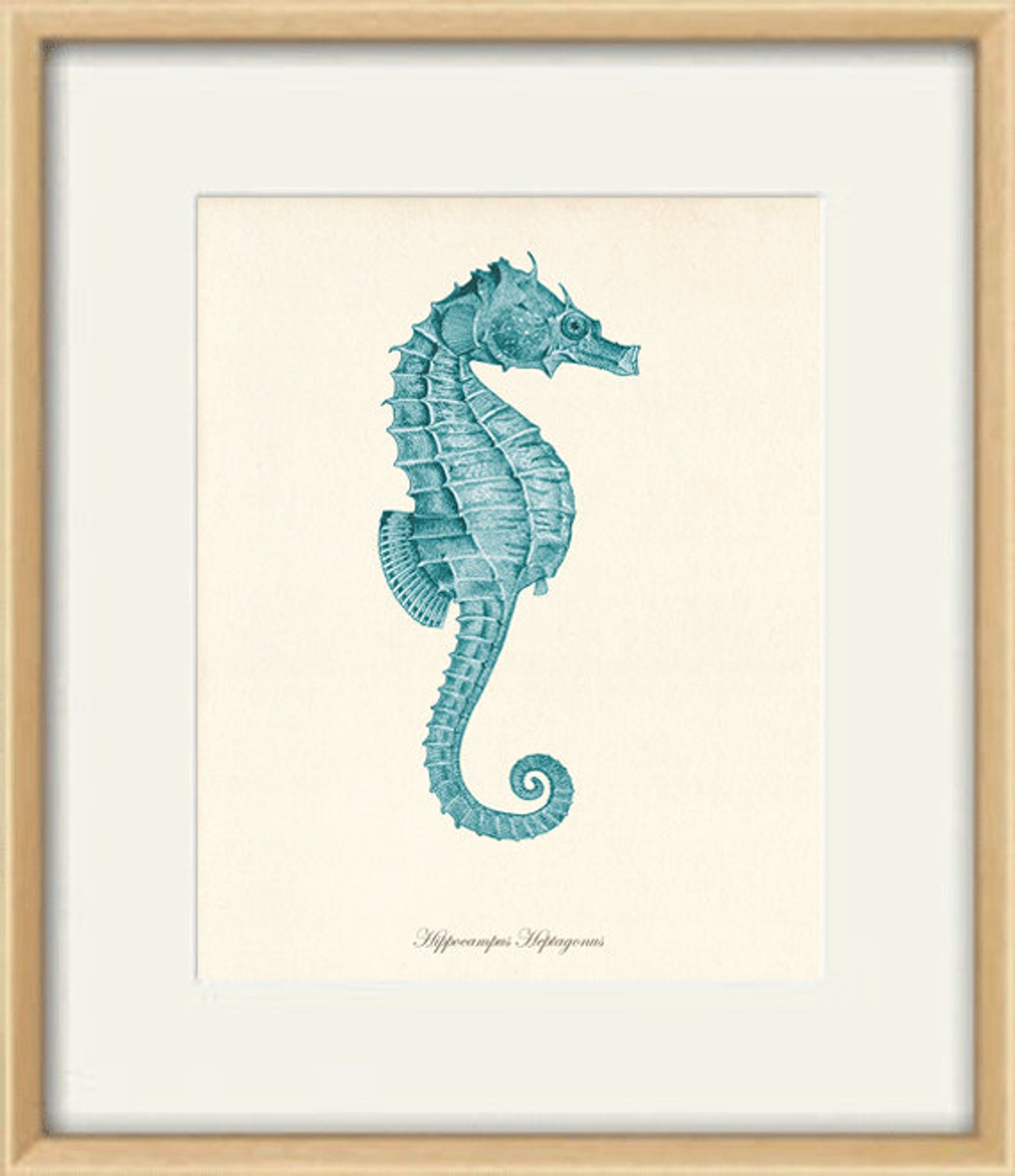 Seahorse art print poster Nautical art print Ocean print sea | Etsy