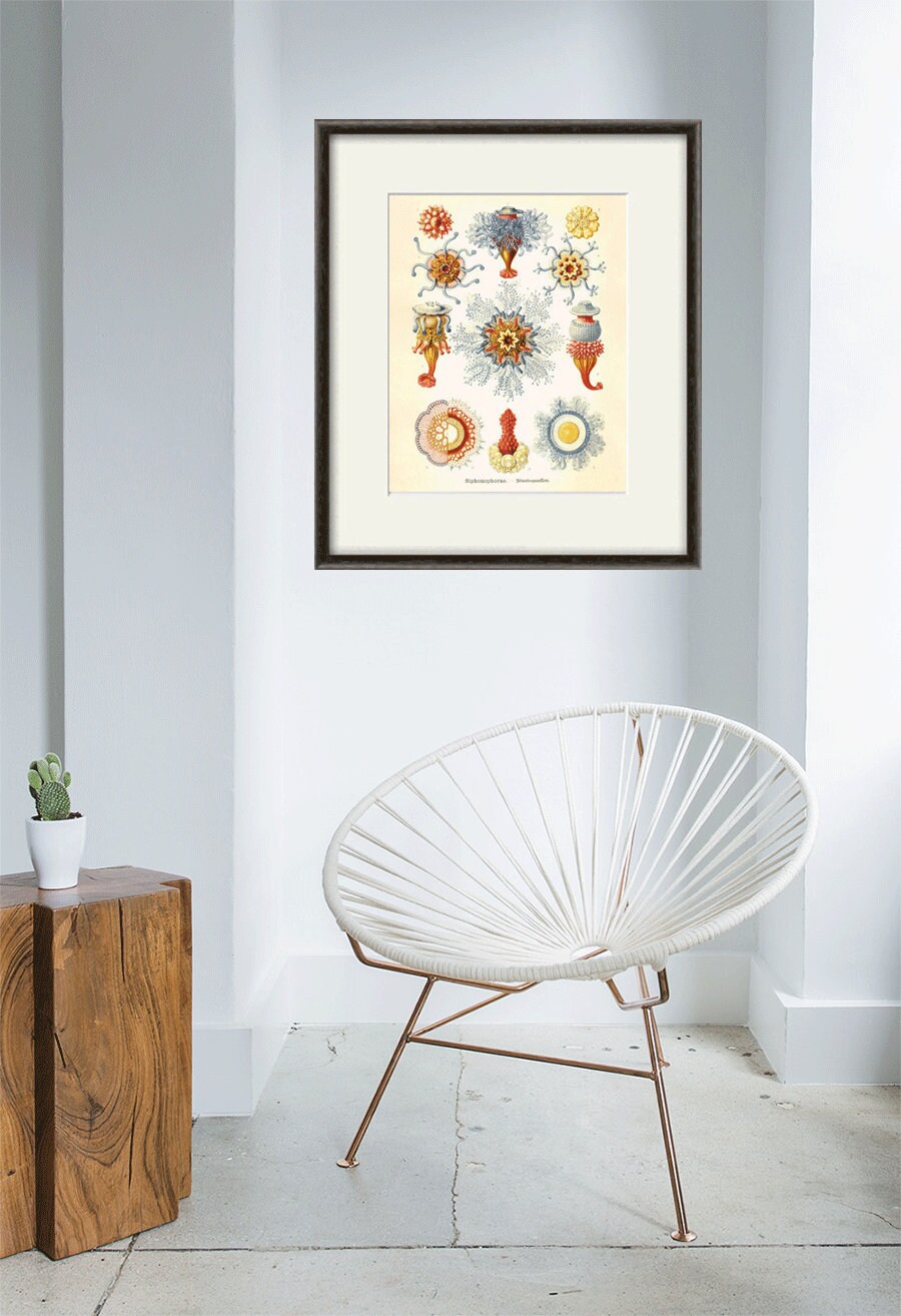 Jellyfish Art Print Sea Beach Art Ocean Art Ocean Decor Beach - Etsy