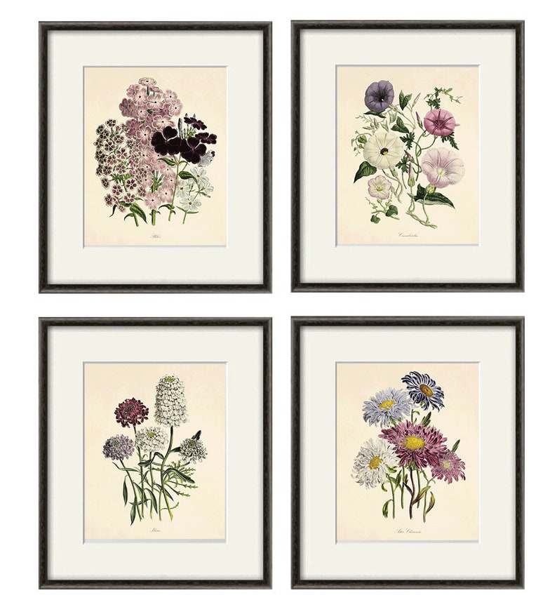 Antique Botanical Prints SET of 4 Botanical Art Prints Flower - Etsy Antique Botanical Prints SET of 4 Botanical Art Prints Flower - Etsy