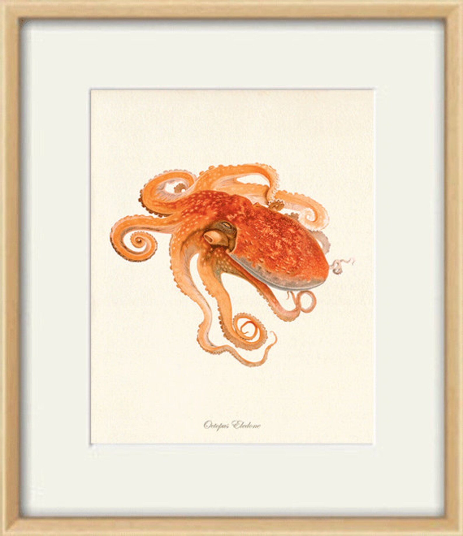 Octopus Art Nautical Art Print Set Ocean Life Art Natural | Etsy