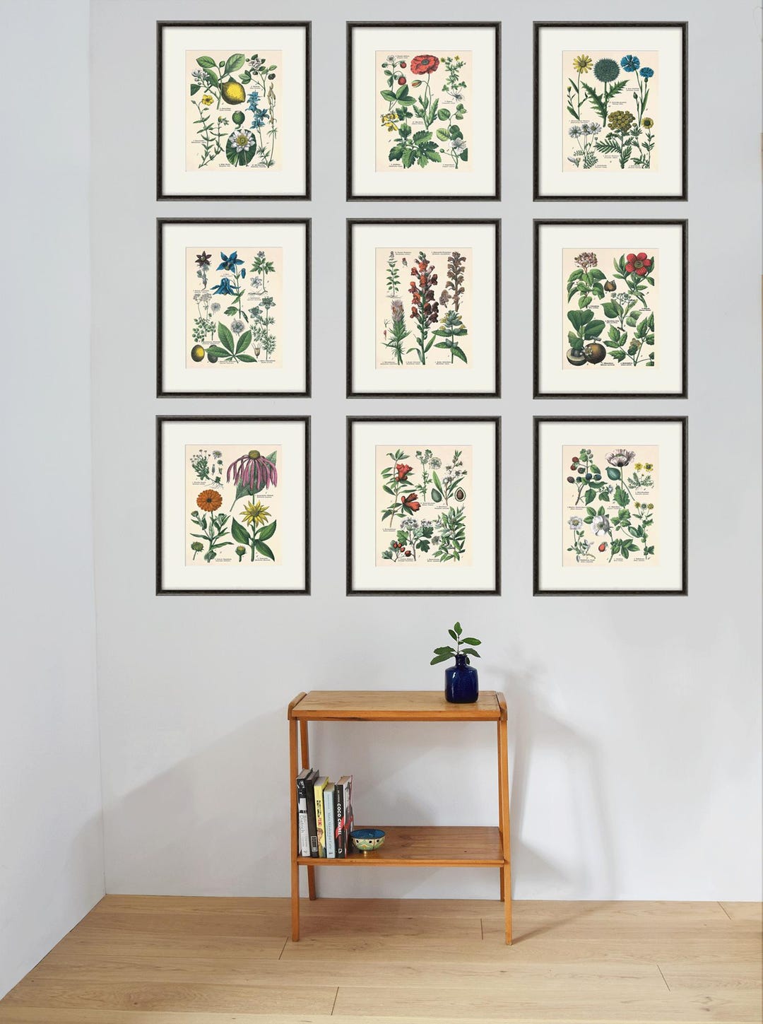 Antique Kitchen Herb Botanical Print Set of 9 - Etsy