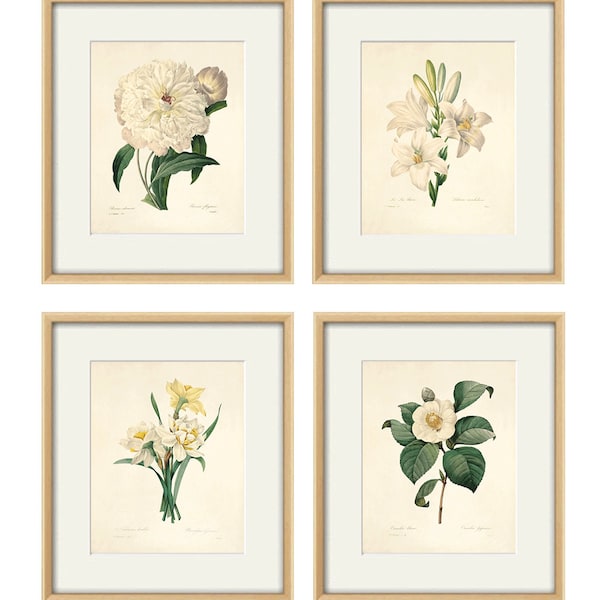 Botanical Art Prints - Etsy