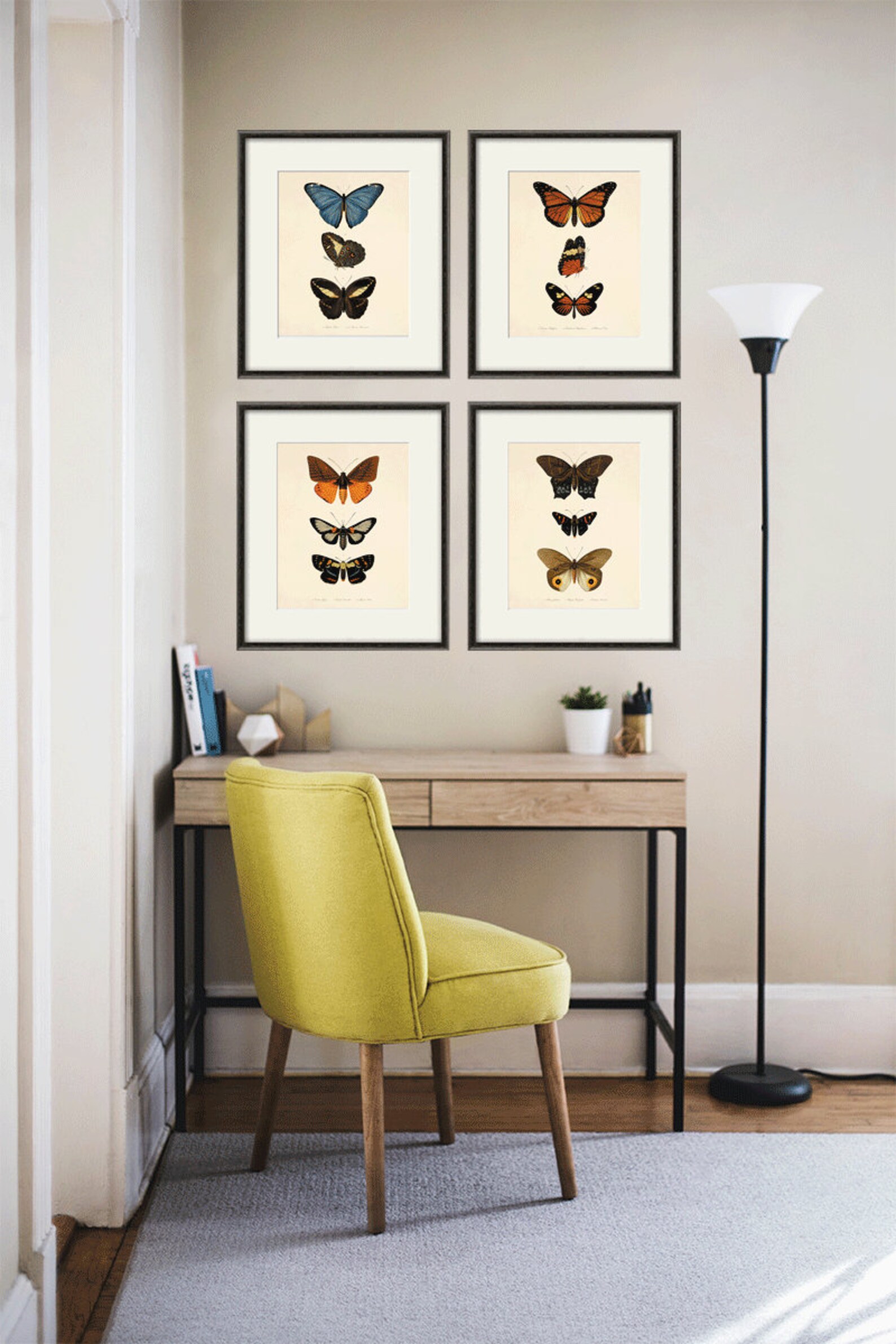 Antique Butterfly Art Butterfly Print Set Natural History Art - Etsy