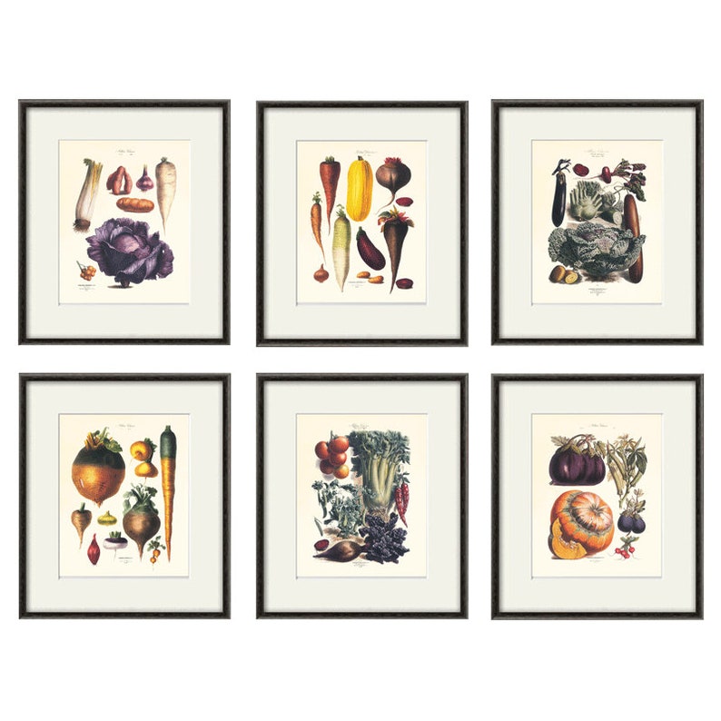 Vegetable Art Print Antique Botanical Print Vegetable Print - Etsy