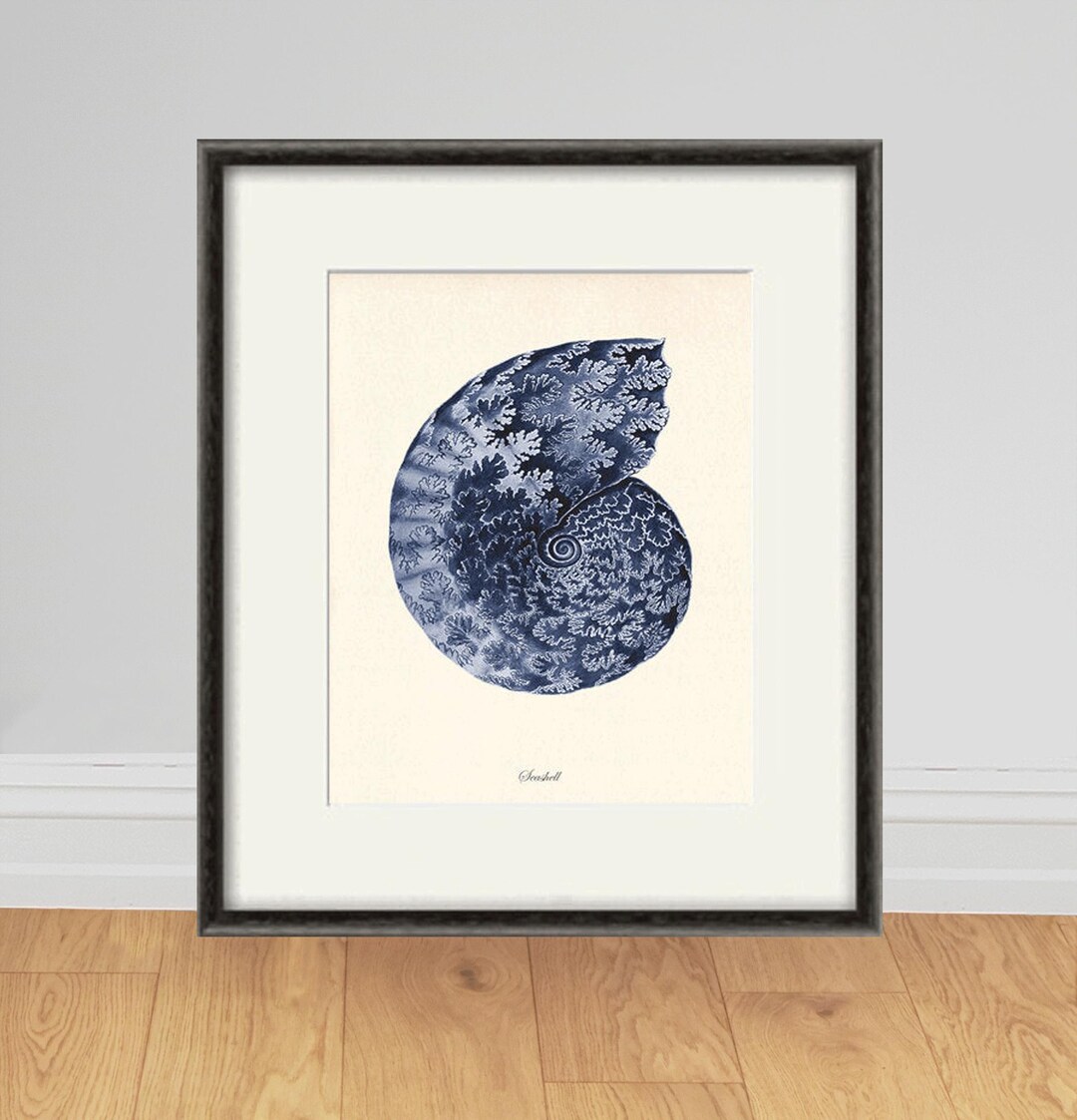 Antique Sea Shell Art Print: Vintage Ernst Haeckel Blue Nautical ...