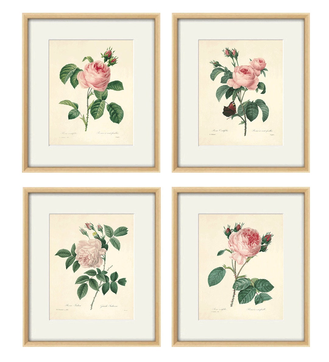 Pink Rose Art Print Vintage Flower Print Cottage Wall Art Victorian ...