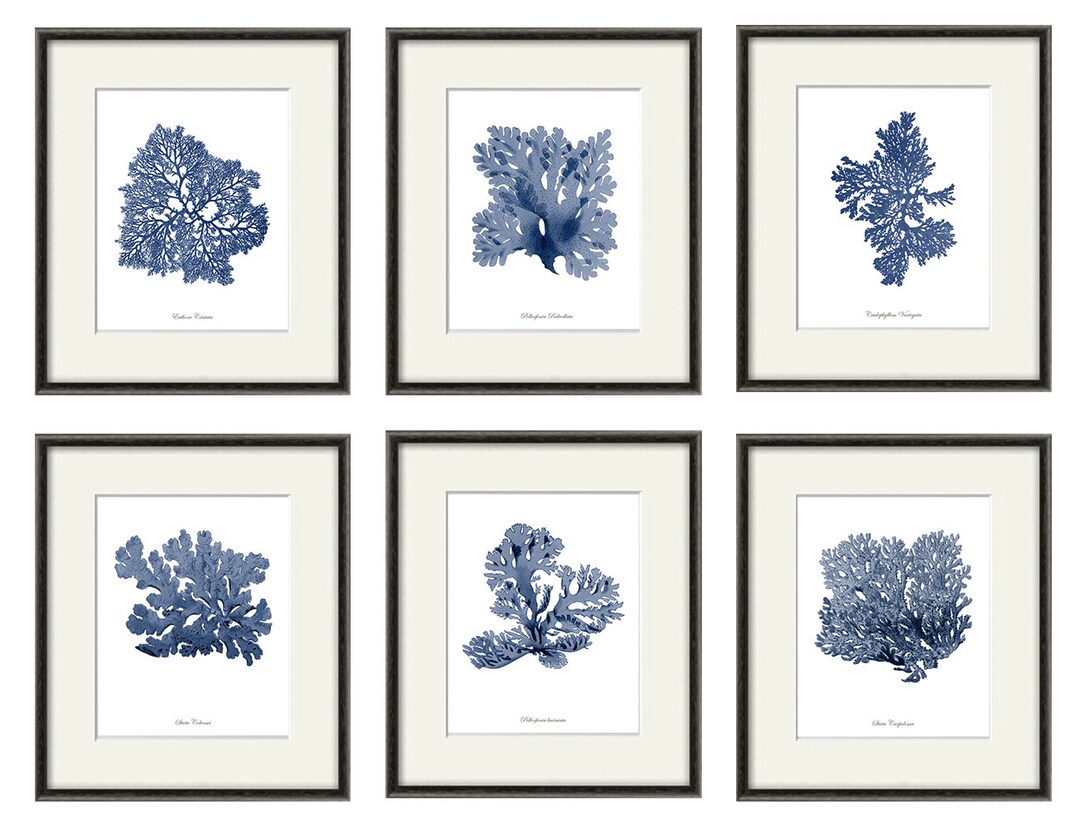 Navy Blue Nautical Art Print Set of 6 Antique Wall Art - Etsy