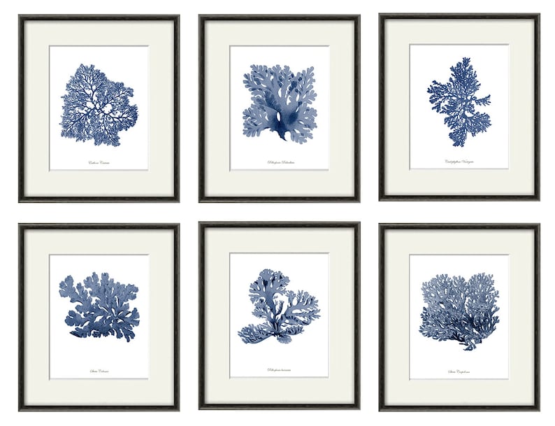 Navy blue Nautical art print set of 6 antique wall art | Etsy