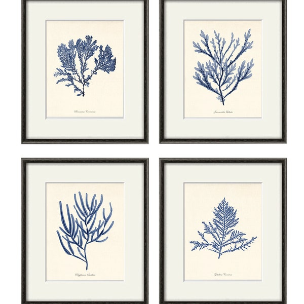Coastal Prints - Etsy